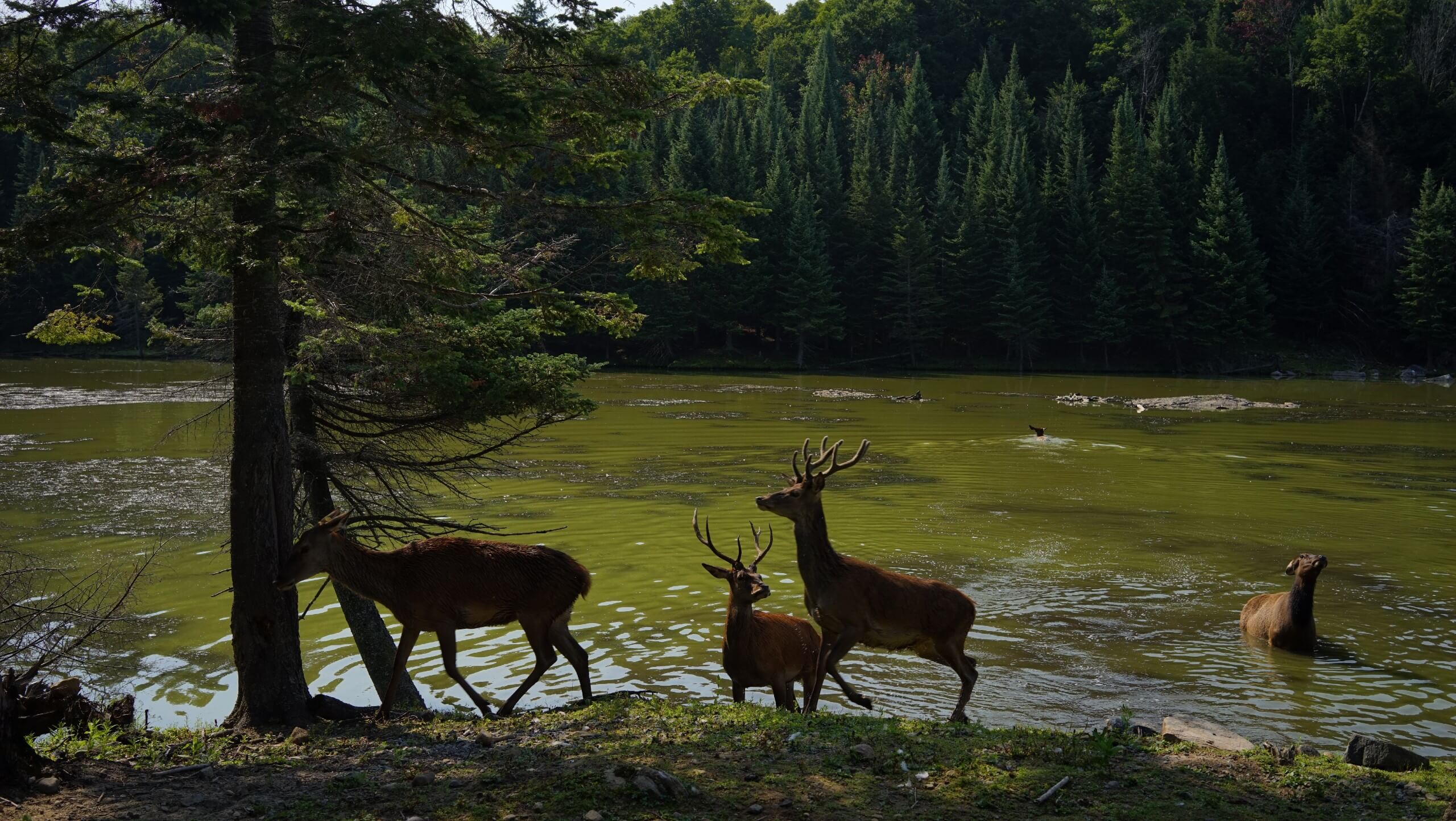 Outaouais | 10Adventures