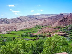 Atlas Valley and Sahara Desert trekking tour in Morocco