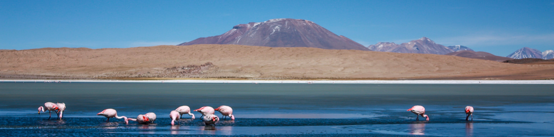 Guided Highlights of Bolivia Tour (Bolivia)