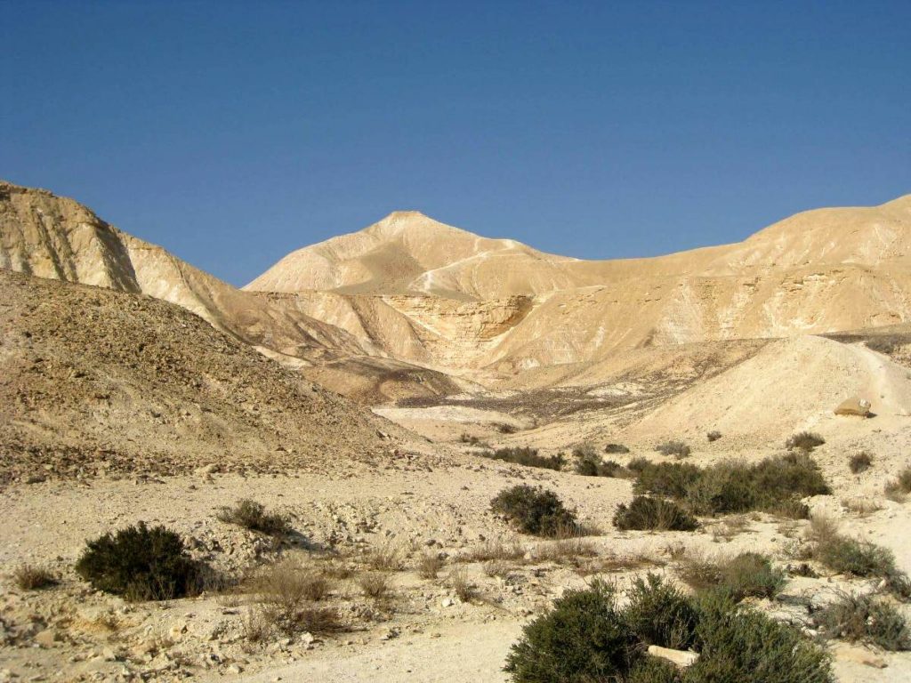 6-Day Negev Desert Hiking Tour | Negev Desert, Israel