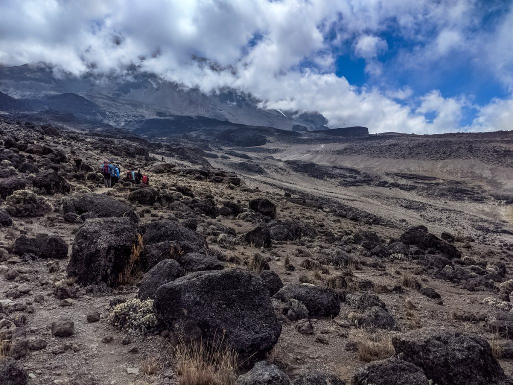 8-Day Mount Kilimanjaro Trek on Northern Circuit Route
