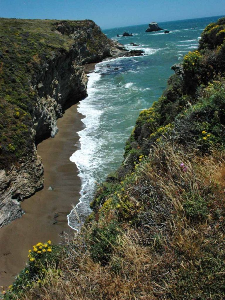 Guided Point Reyes Hiking Tour in California (USA)