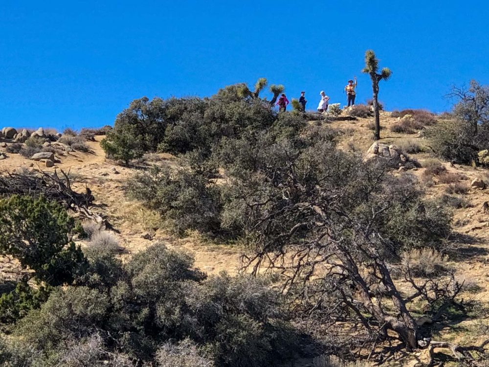 Joshua Tree National Park Guided Hiking Tour | 10Adventures