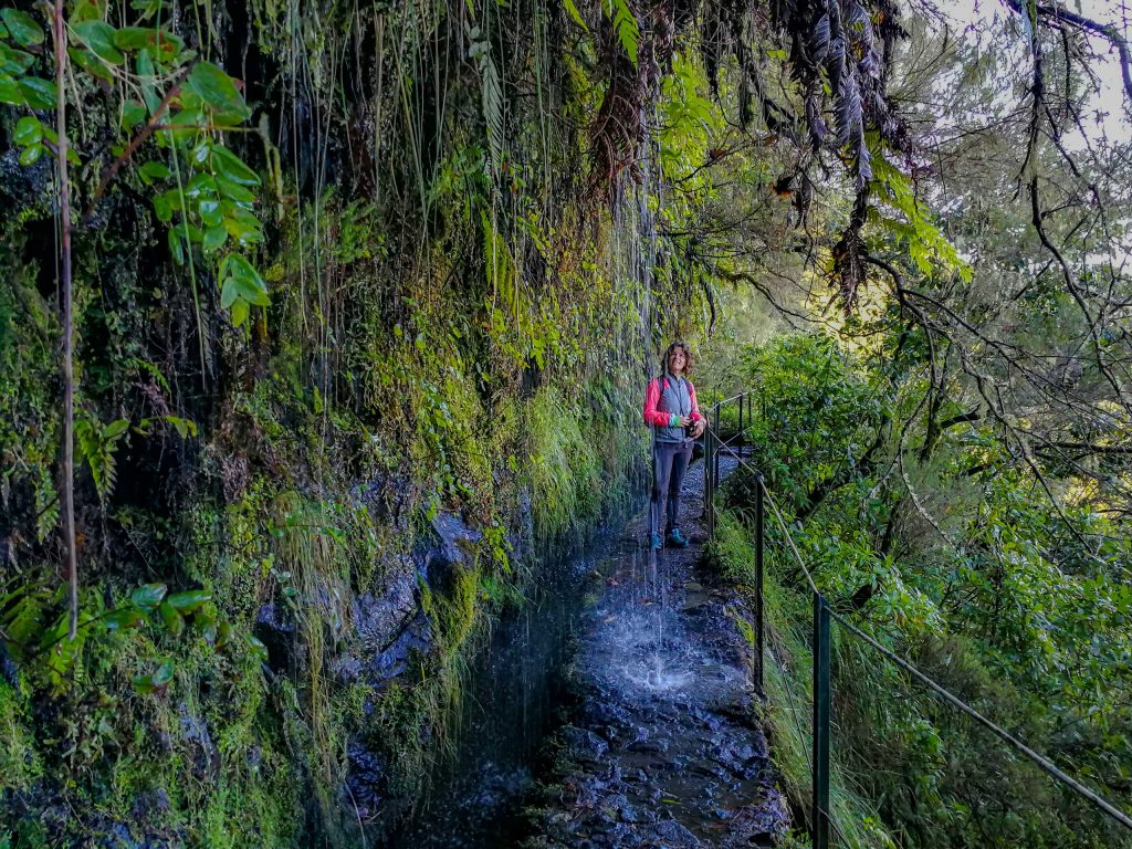 8-Day Madiera Island Walking Tour (Azores, Portugal)